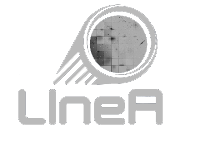 LIneA Science Server